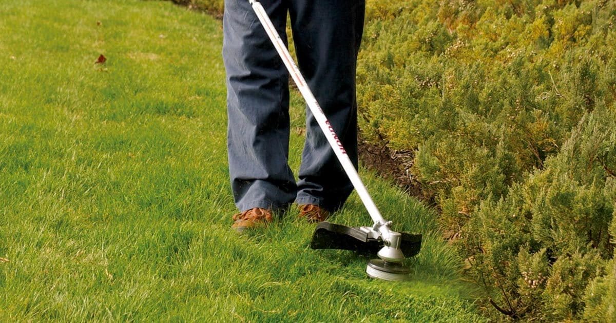 String Trimmer Buyer's Guide - How to Pick the Perfect String Trimmer