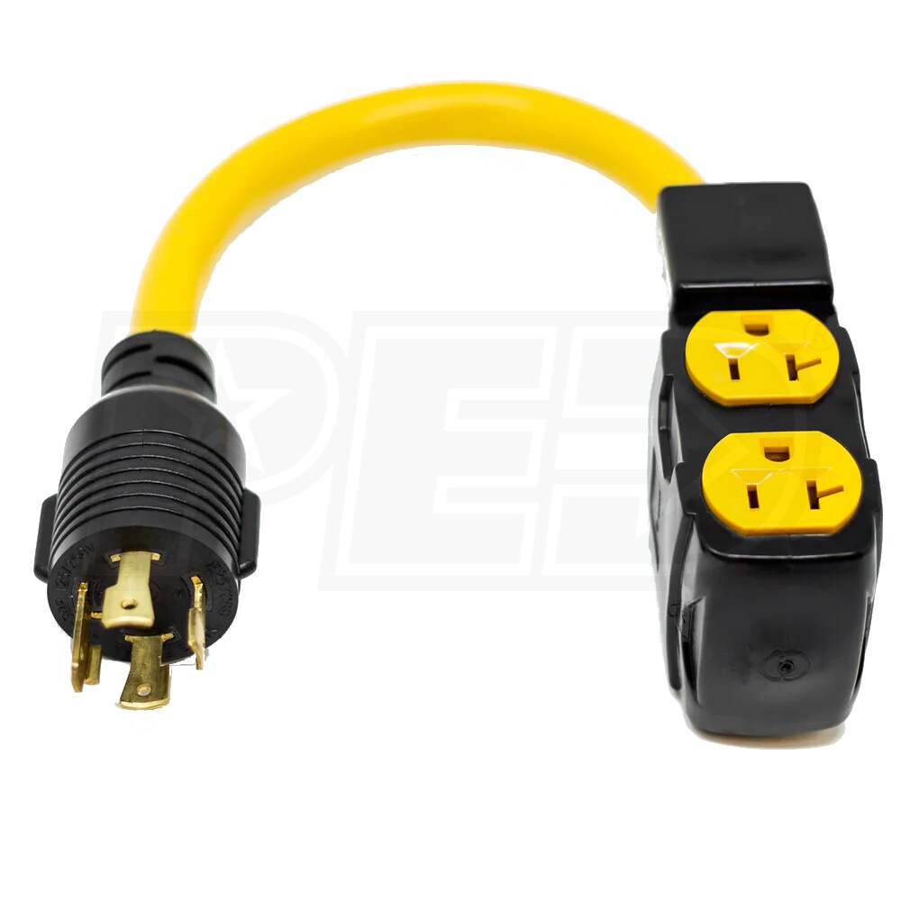 Firman 1160 - Firman 30-Amp (4-Prong) 1.6-Foot Convenience Cord w/ 4-20 ...