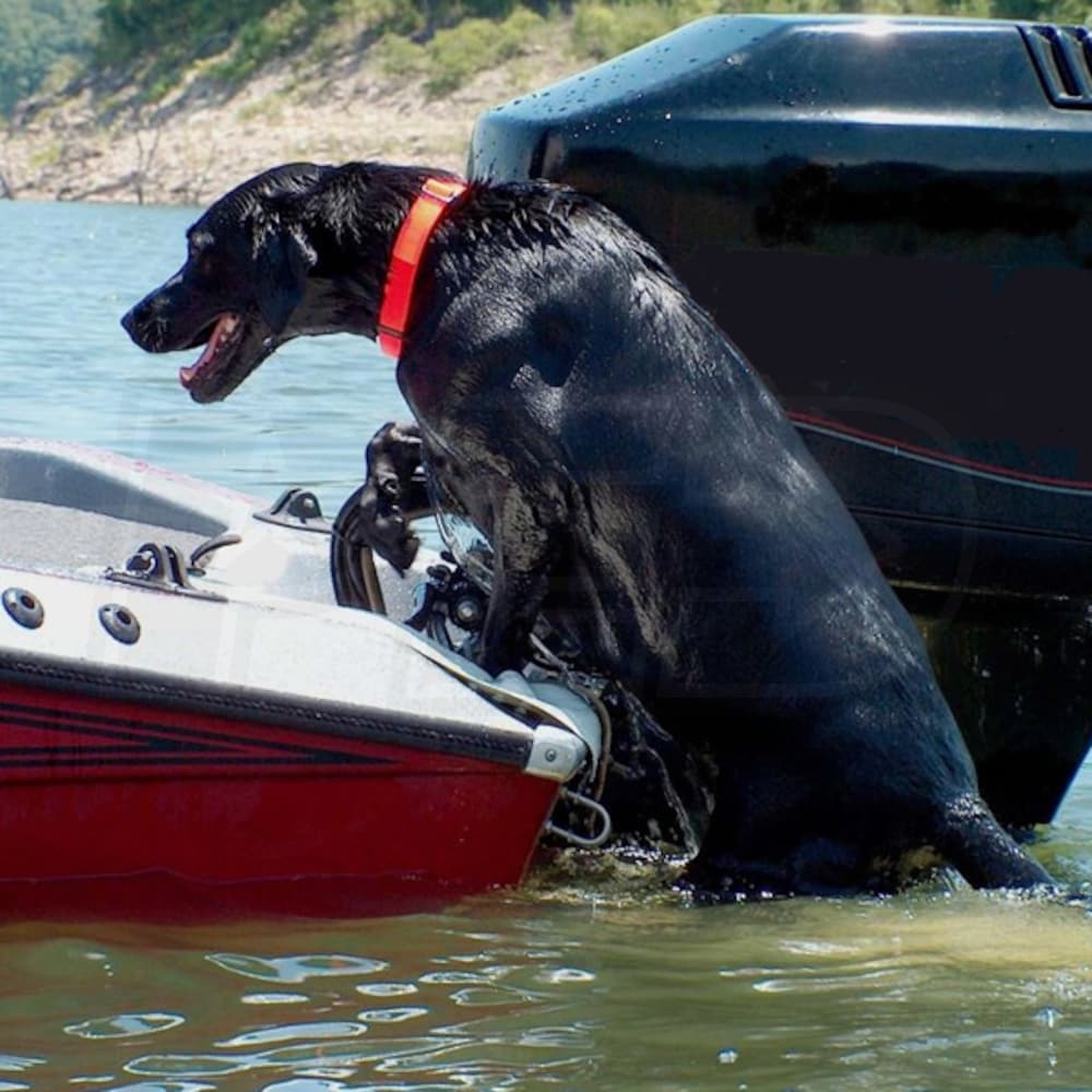 Great Day Load-A-Pup (14" X 20") Pet Loading Platform For Boats | Great ...