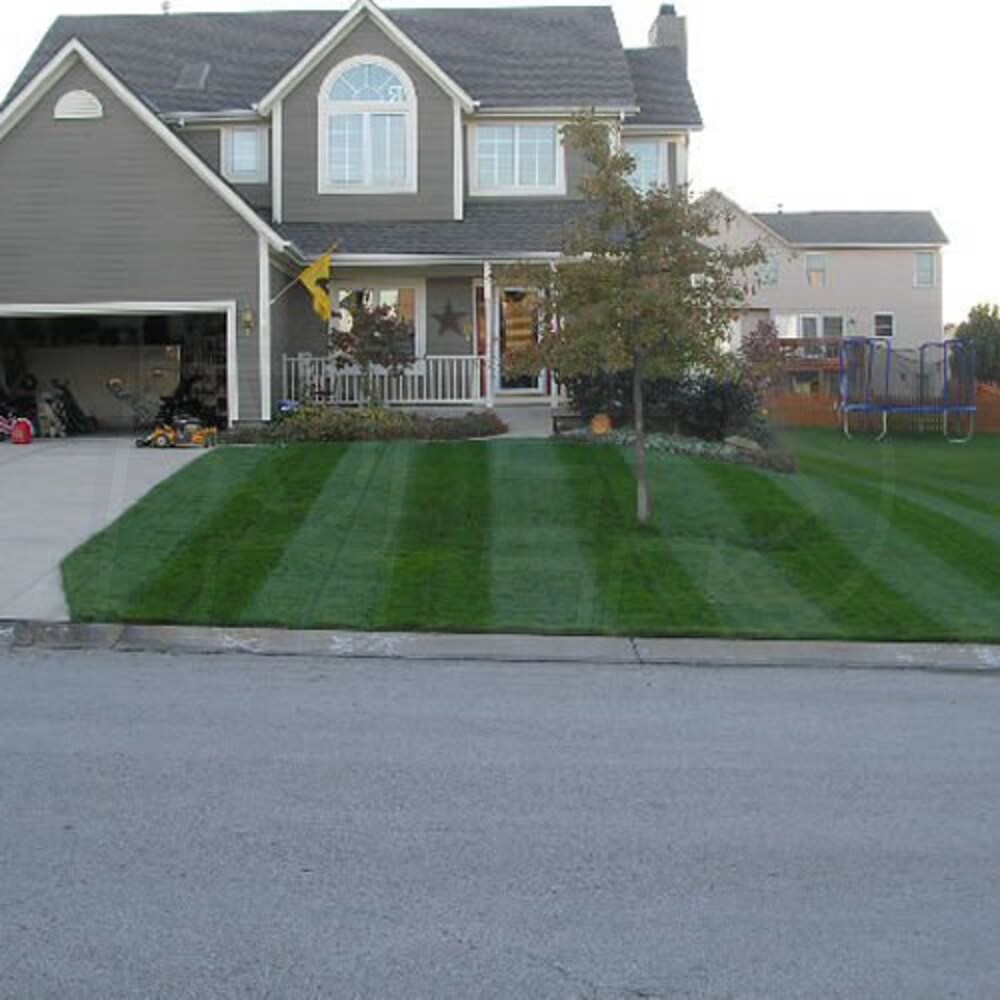 CheckMate (20") Universal Lawn Striping Kit For Walk Behind Mowers ...