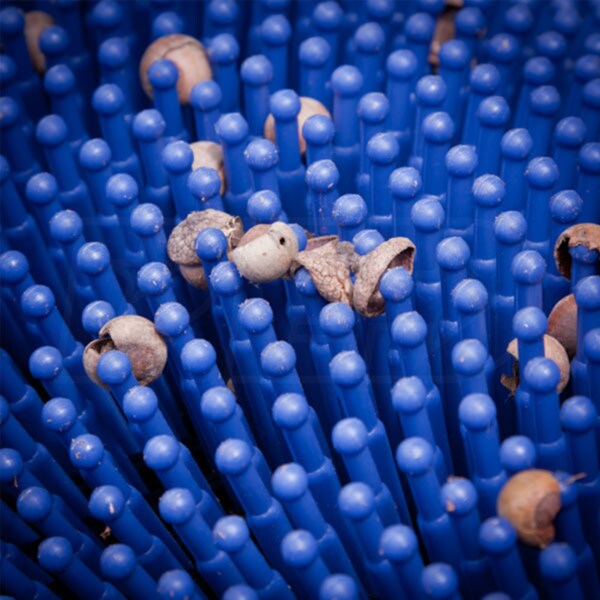 Bag-A-Nut™ 12" Classic Flip-Up Harvester For Small Acorns (1/4" - 1 ...